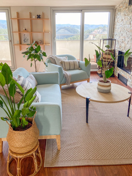 17 idées déco pour un salon avec des plantes